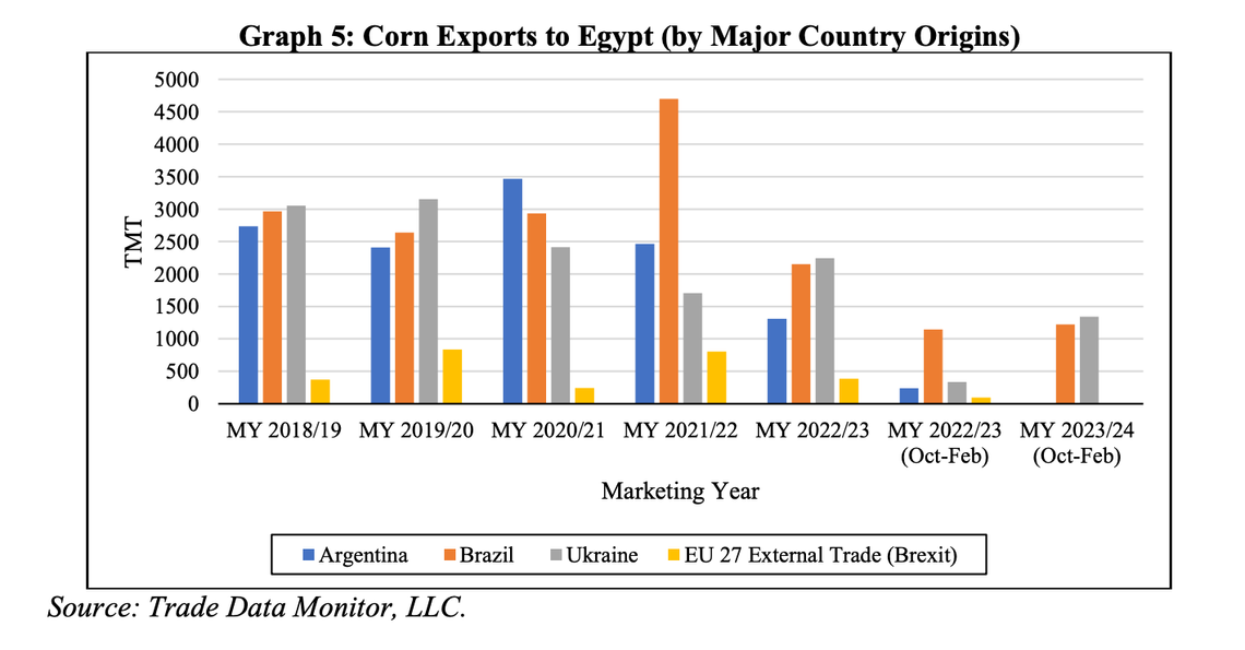 Egyptian Corn Imports Projected to Rise Amidst Feed Industry Recovery ...