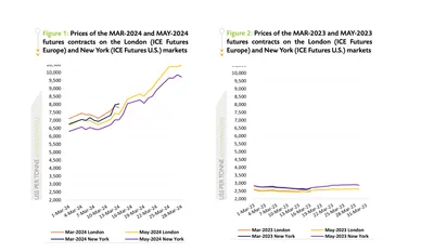 Cocoa: Supply and Demand Drivers